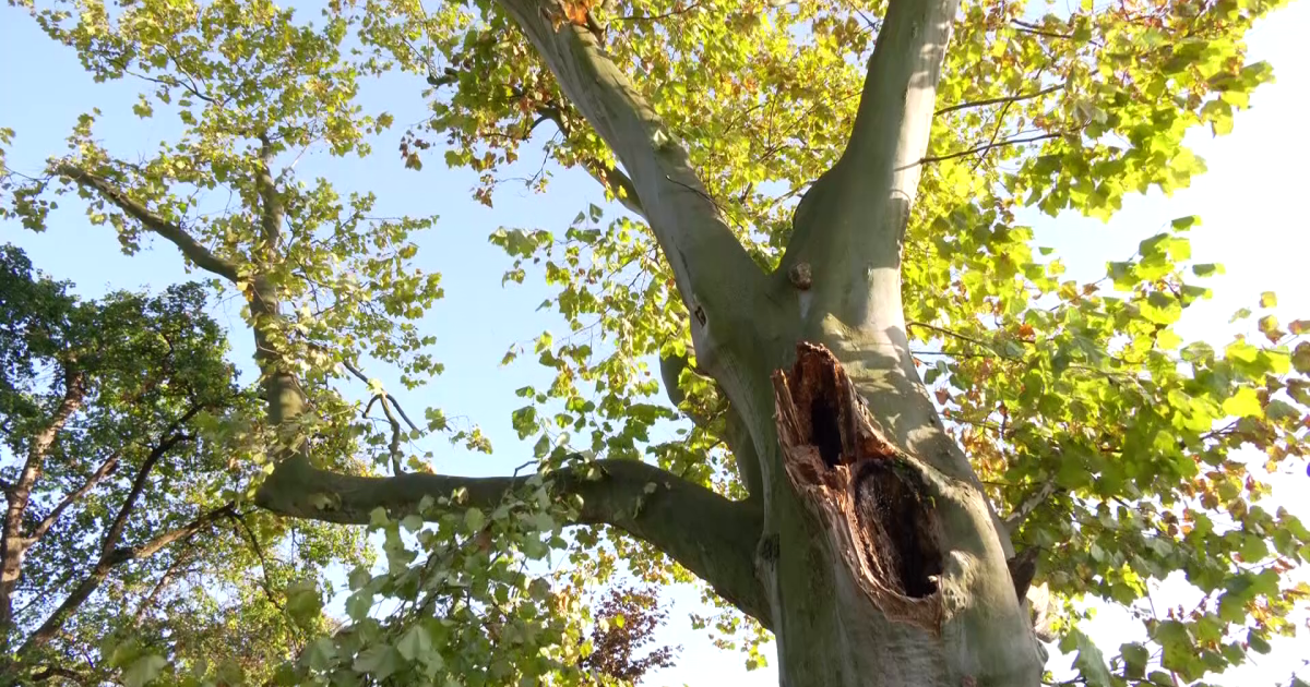 Magazín Uherské Hradiště 30. 9. 2023 | iTVS